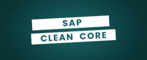 SAP Data Migration Cockpit – SAPRaul